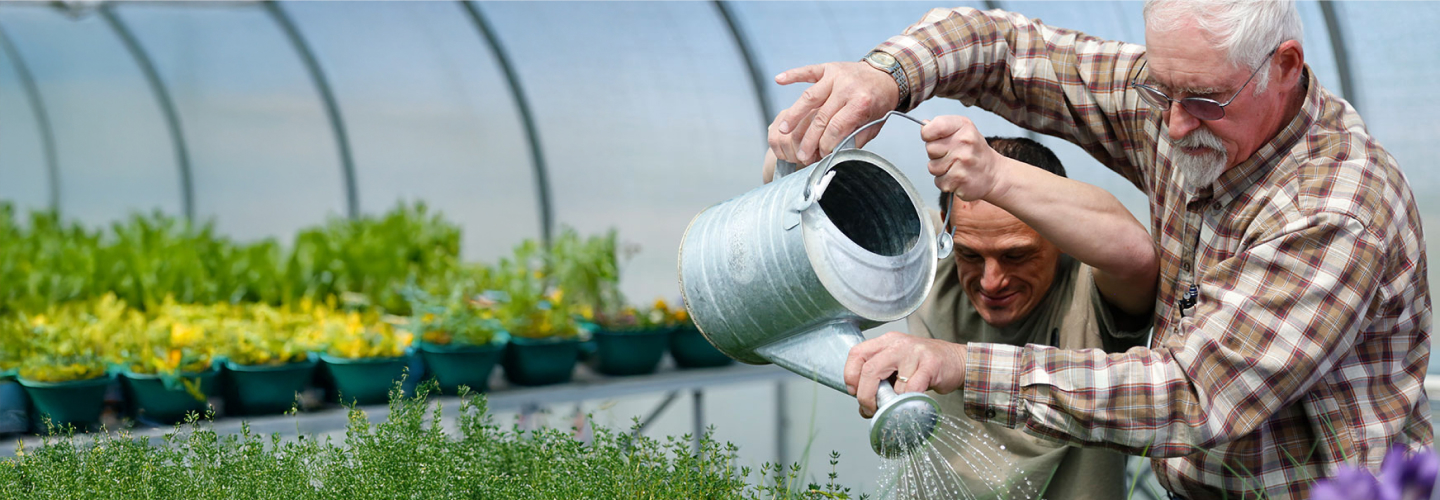 Inclusive Employment Support - AWARE